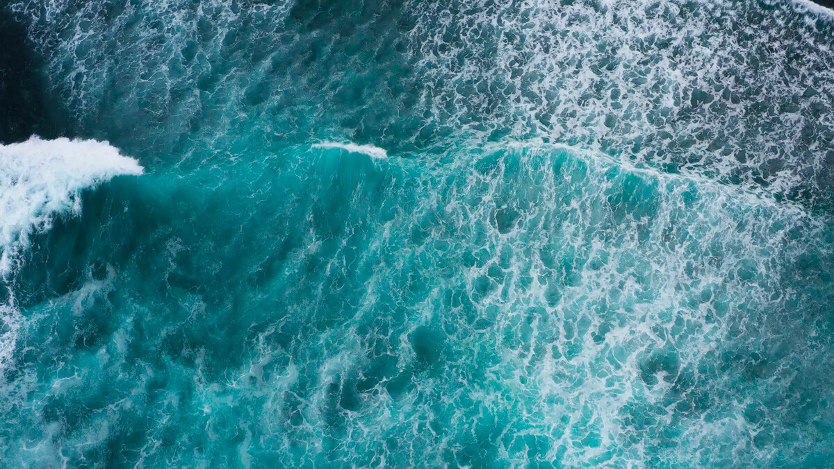 Download Emission - 5 Ebook Steps to Marine Decarbonisation
